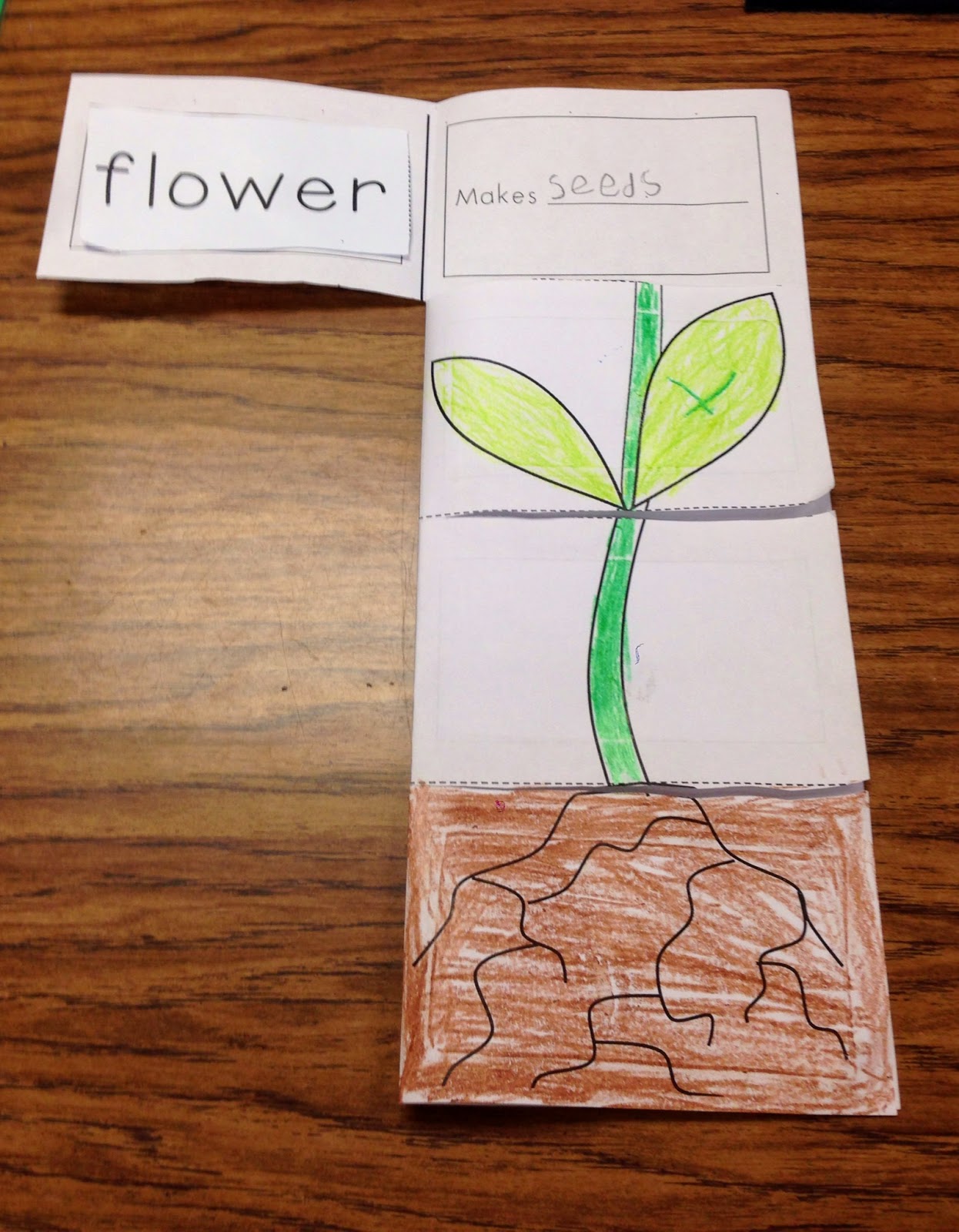 Parts Of A Plant Books at Doris Perez blog