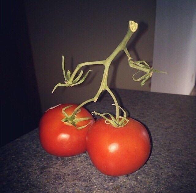 Miss Cellania: The Walking Tomato