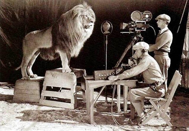 Incredible Behind the Scenes Photos From the Making of the MGM Lion ...