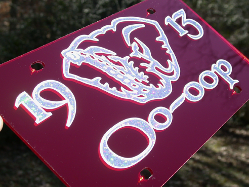 GREEK TAGS by PHAT TAGS: DELTA SIGMA THETA