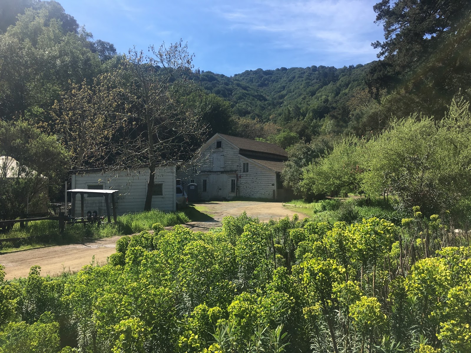 Paintsites Blog: Hidden Villa, Los Altos Hills, March 29, 2018