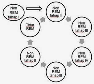 blog-o-blog: kdm :: Istirahat dan Tidur