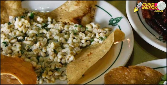 Curionautas: Escamoles - O Caviar Mexicano