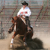 Reining Training Tips ~ ~: Teaching the Sliding Stop