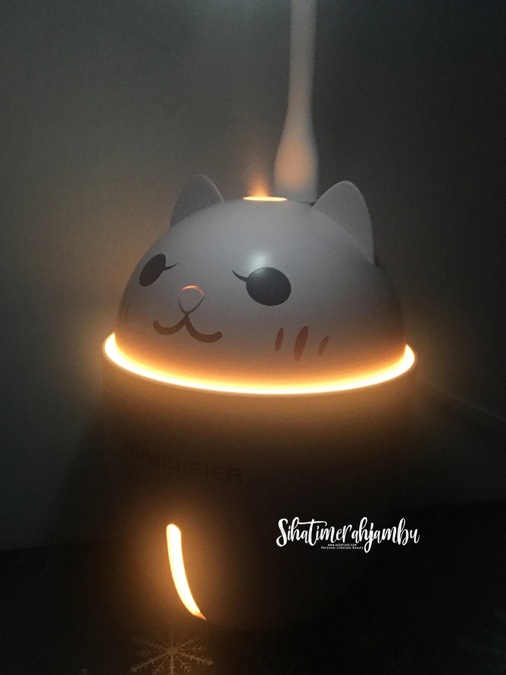 Air Humidifier Adorable Cat With Fan & LED Lamp
