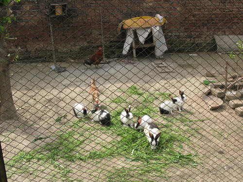 SULEHRI`S SECRETARIAT: SHAKARGARH,NAROWAL,PUNJAB,PAKISTAN