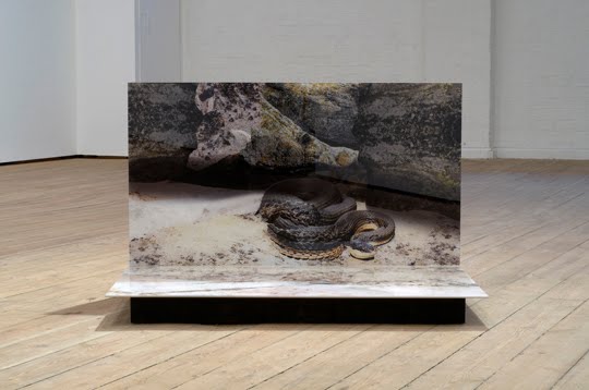 So Different So Appealing: Boo Ritson on Gaming, Americana and the Sublime