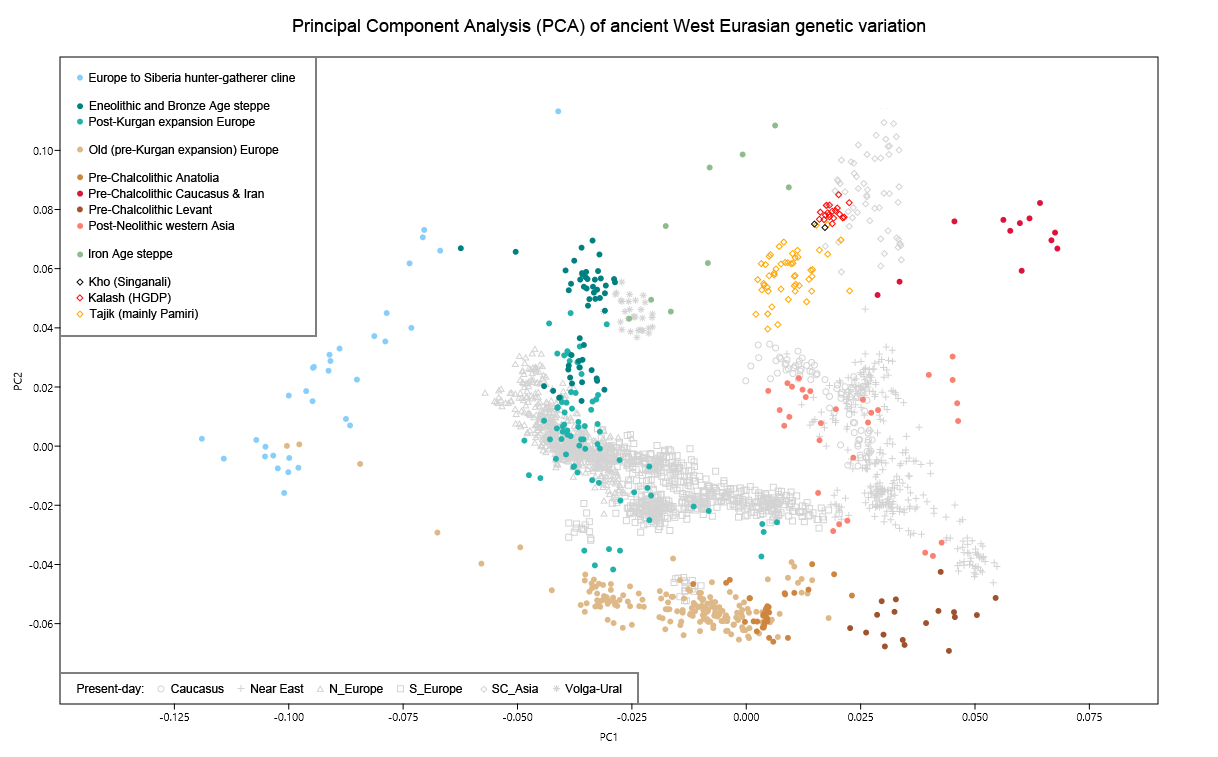 Kalash People Dna