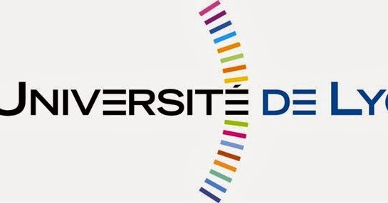 Université de Lyon : feu vert pour la création d'une Société d ...