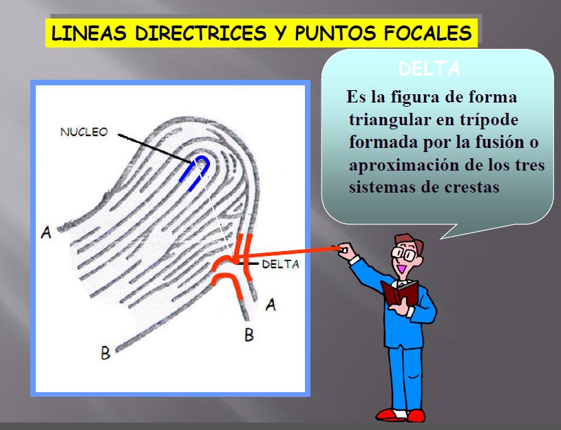 Dactilograma; Partes y Puntos Escenciales