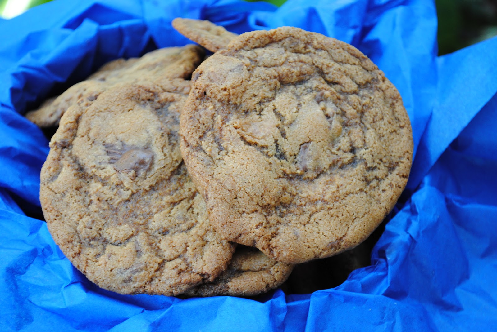 Jac o' lyn Murphy: Vintage Skippy with Real Simple Cookies