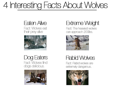 1Topthings: Diet Wolf - Top real wolf Nutrition