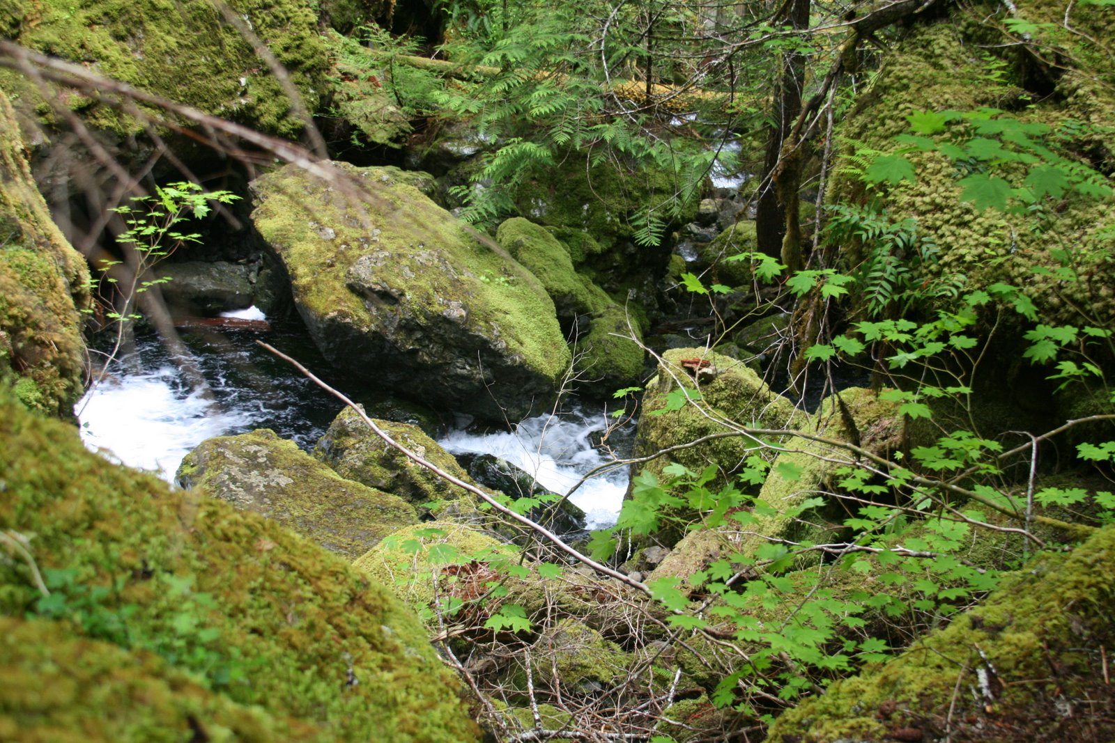 burback family: and it was the most beautiful thing ever