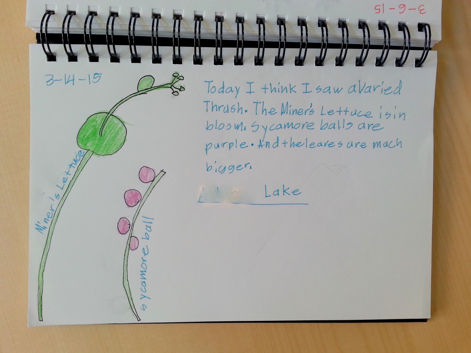 Joyous Lessons: Nature Study Notes :: Early Spring Keeping