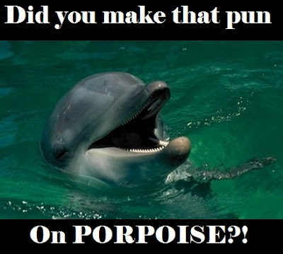 My American Confessions: Wednesday: SO Punny