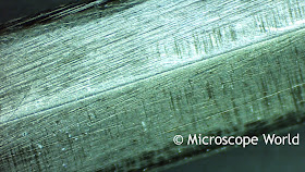 Microscope World Blog: HD Digital Stereo Microscope Images