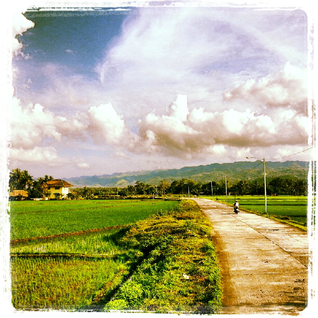 Byahero: Ligao City Daily Photo