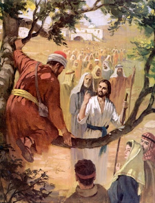 La tua Parola Signore è luce: ZACCHEO