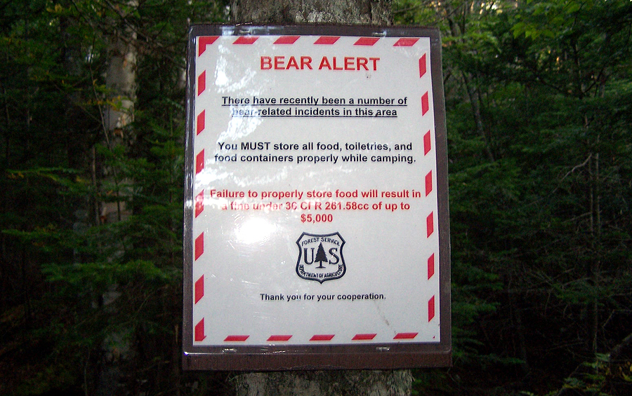Hiking in the White Mountains: Trail Signs