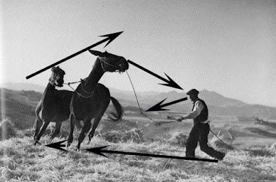 The Art of Photography. OCA.: Exercise 21. Implied Lines in elements of ...