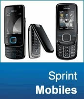 Sprint Communication Systems: Vodafone One Net