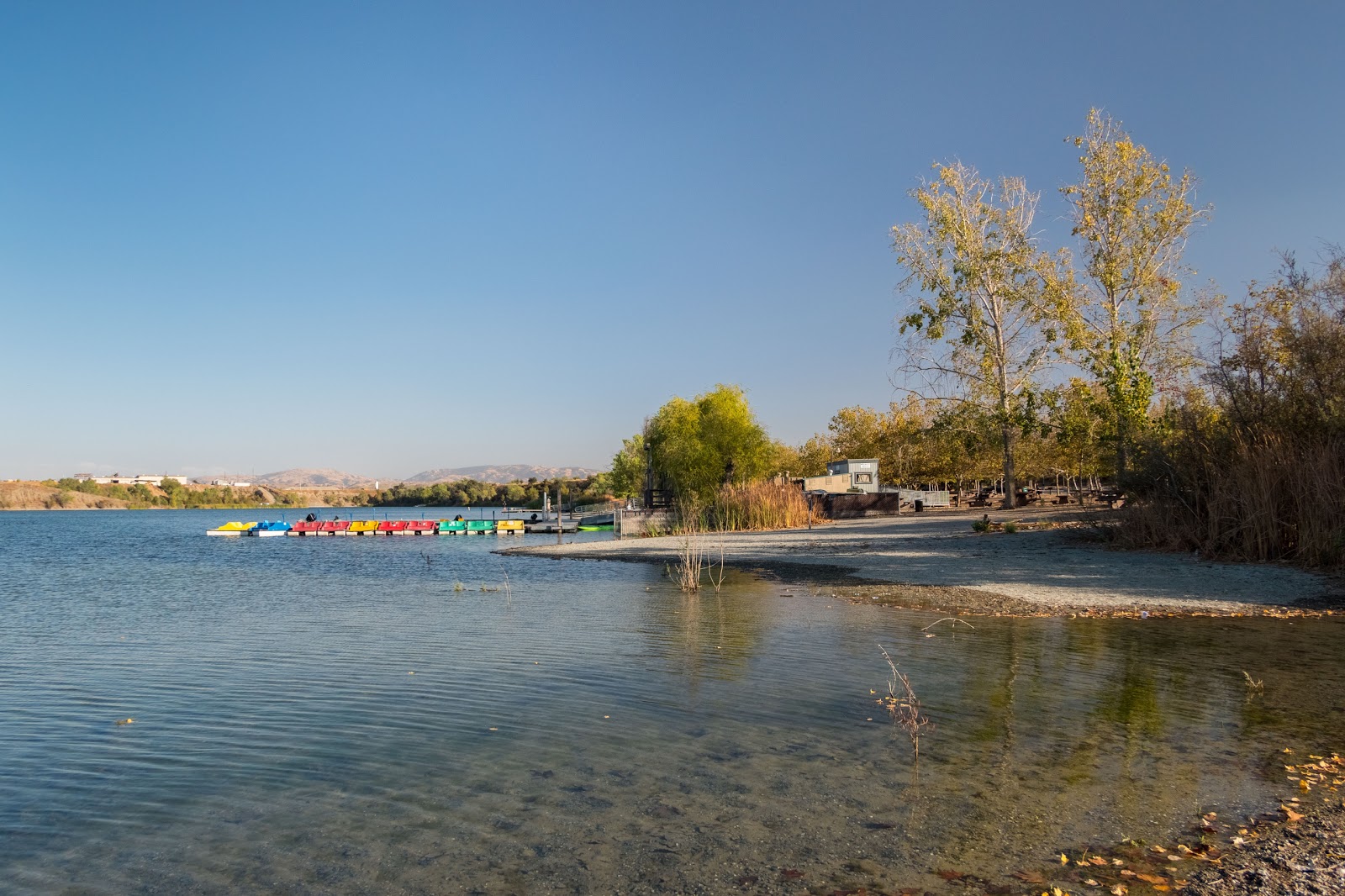 Naturetastic Blog: Shadow Cliffs Regional Park (10/3/2017) - Pleasanton, CA