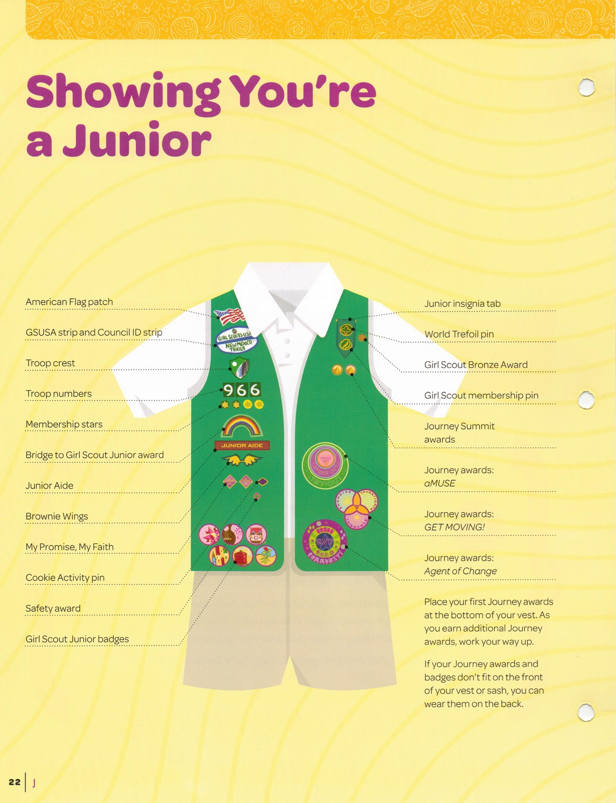 Webster Junior Troop #417