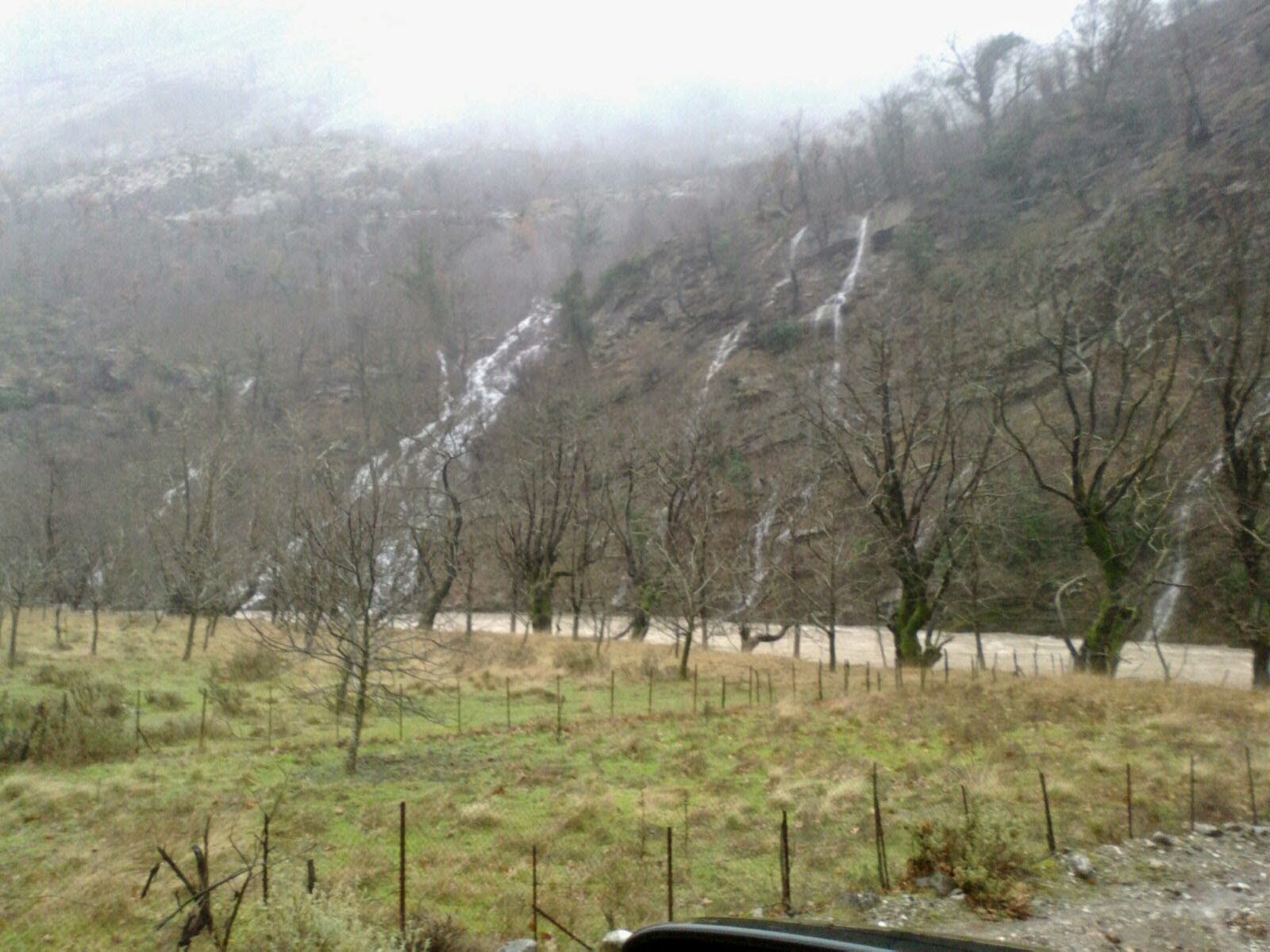 ΚΑΠΡΟ ΤΡΙΚΑΛΩΝ : ΚΑΤΟΛΙΣΘΗΣΕΙΣ ΣΤΟ ΟΔΙΚΟ ΔΙΚΤΥΟ ΤΩΝ ΤΡΙΚΑΛΩΝ