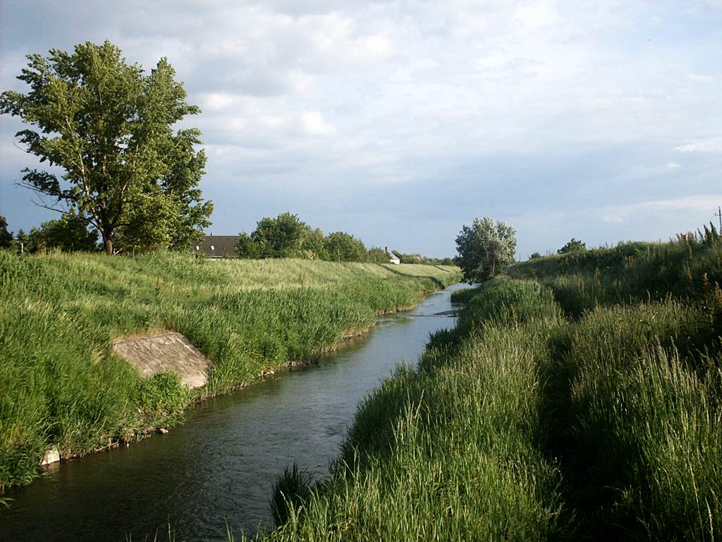Fehérvári domolykóvadász: A Gaja patak sorsáról...