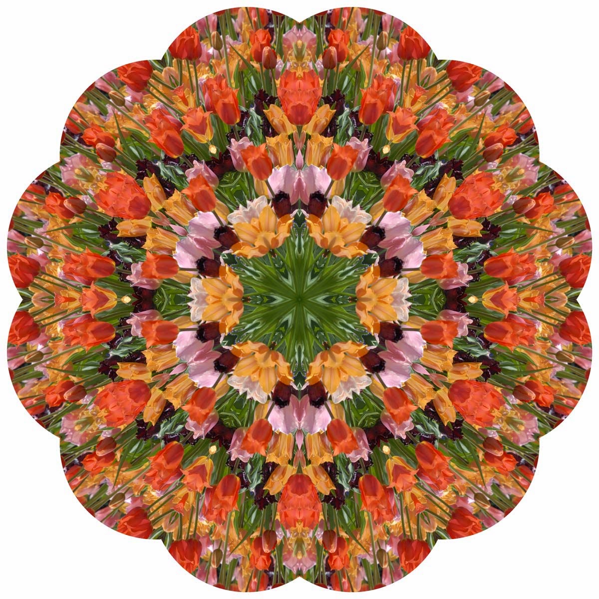 Selep Imaging Blog: Kaleidoscope Photoart