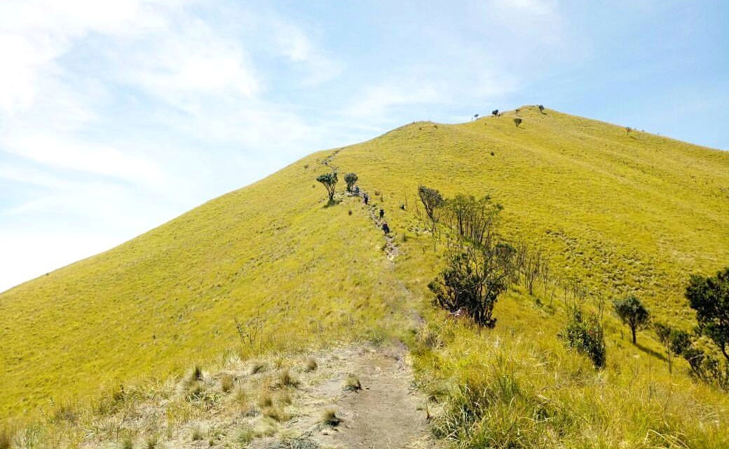 Pendakian Merbabu via Suwanting Indah dan Mengesankan ~ Explore Mdpl
