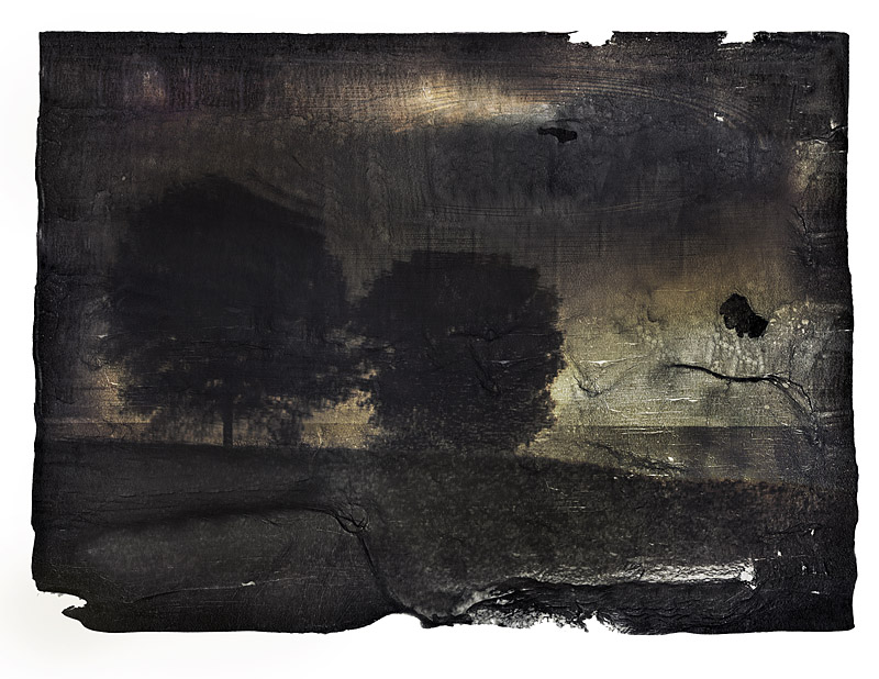 John Grant Photography