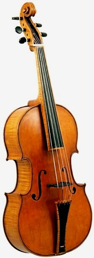 Historia de la Viola.