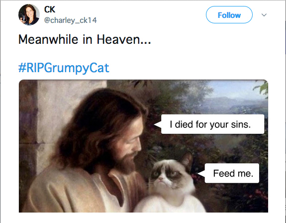 Perspective: RIP: Grumpy Cat