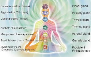 The Legendary PTIM0nK aka Bruce Lee Reincarnation: 7 Chakras explained ...