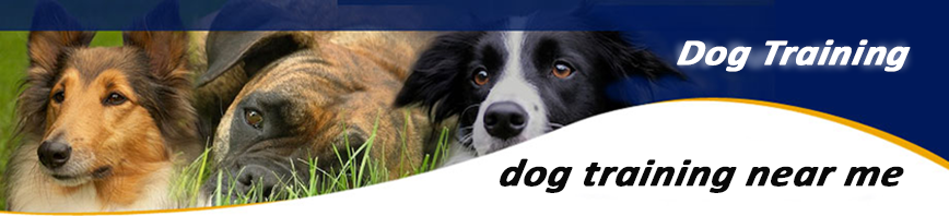 Dog Training Near Me 97 tips