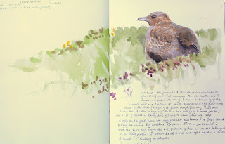 Tim Wootton Wildlife Art