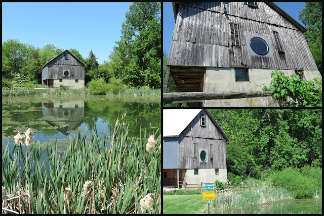 Viewing nature with Eileen: Charlotte's Quest Nature Center
