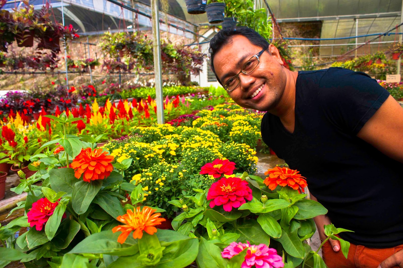 Wandering at The Cactus Point, Cameron Highland