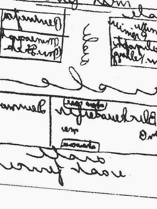 IQ Biometrix FACES EDU PLUS V4.0.3 Portable ENG nathayora