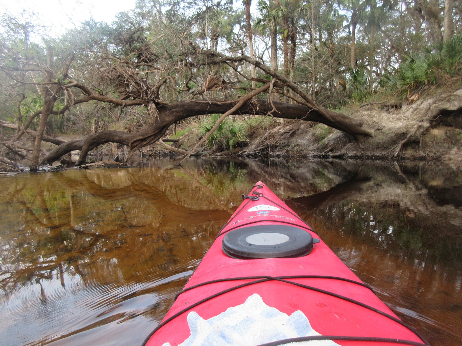 Dave's Yak Tales: Econlockhatchee River