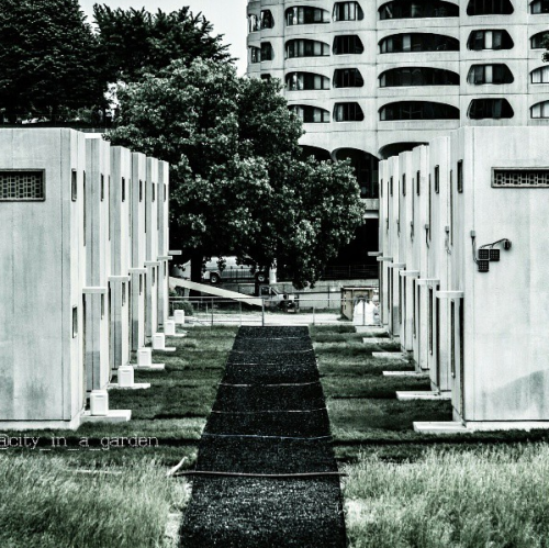 Allegiant Fans of Divergent: The Dauntless and Abnegation Set Pictures