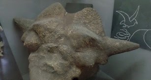 Noticias de Paleontologia: Niolamia argentina, una tortuga terrestre de ...