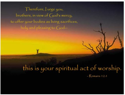 Operation Actually Read Bible: Berean Playlist #7 Gracefully Broken