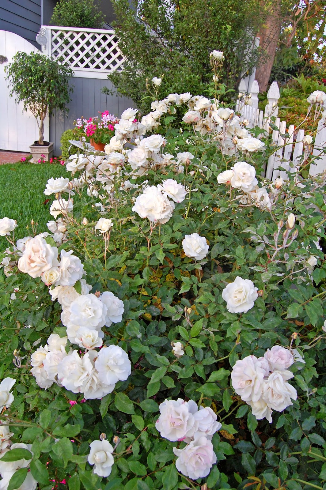 My Painted Garden: Easter Blessings