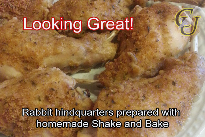 Culinary yoU: Oven Fried Rabbit