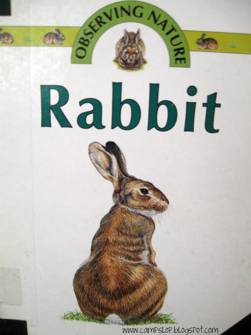 Camp Slop: What We Did This Week - Bunny Theme