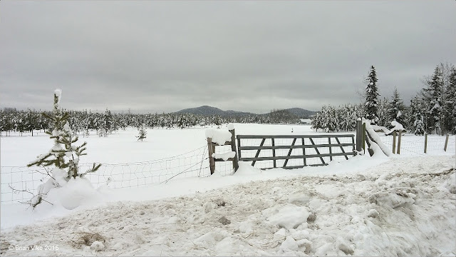Northern Interior British Columbia: Sunset Lake And Area At Topley ...
