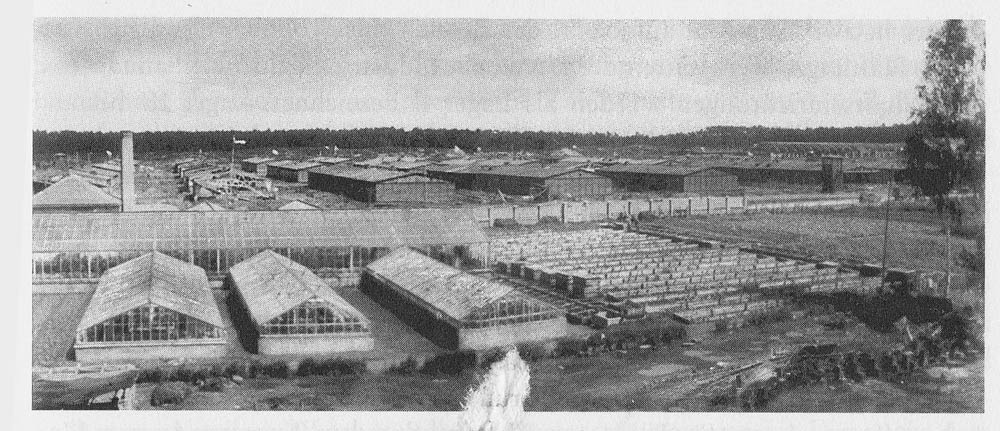 Dachau KZ: STUTTHOF CONCENTRATION CAMP PART 1/10