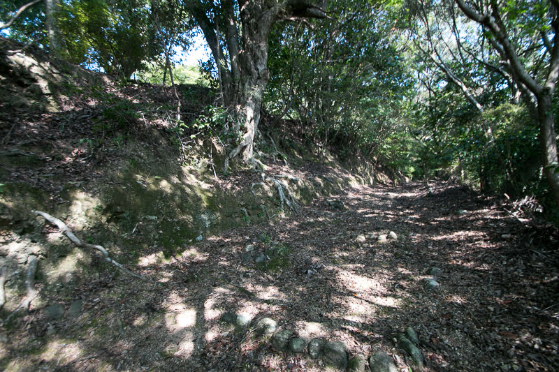 Nakamura Castle (Tosa) -History of island hero (5) Beat of benefactor ...